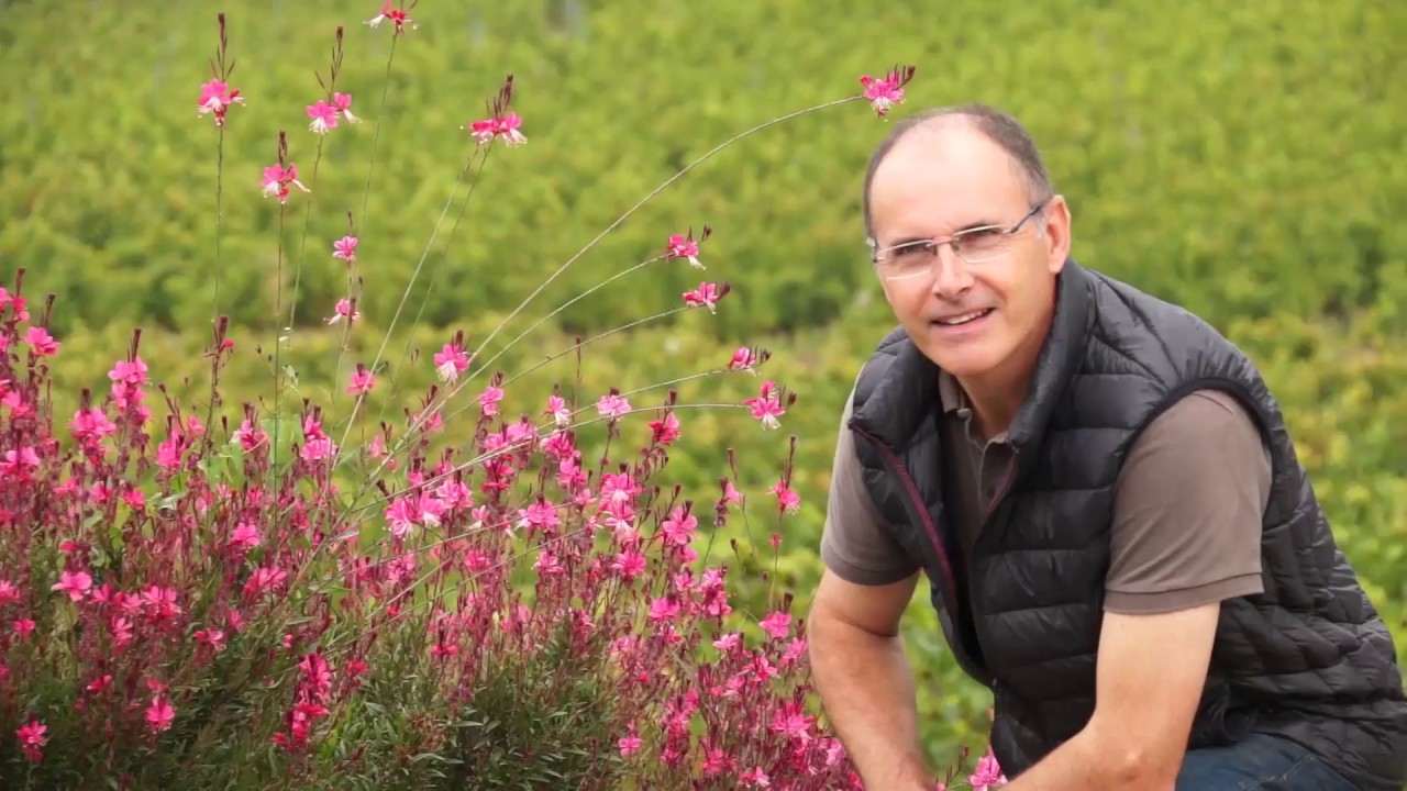 Jean-Michel Baudet - YouTube