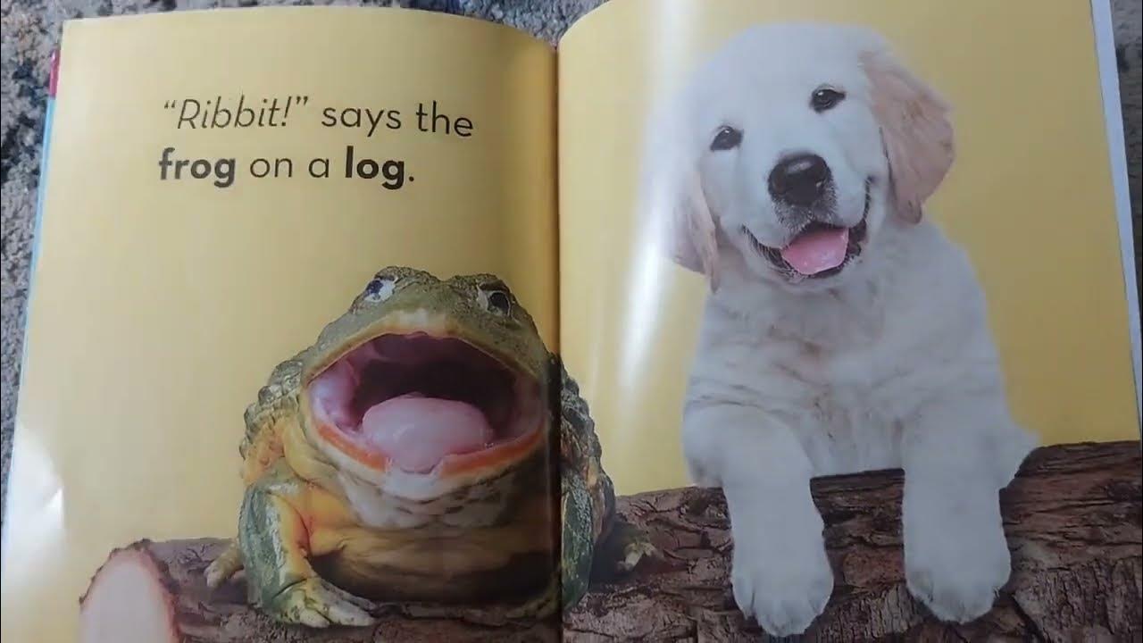 Read and Rhyme- Frog- Log @Reading-Superfun - YouTube