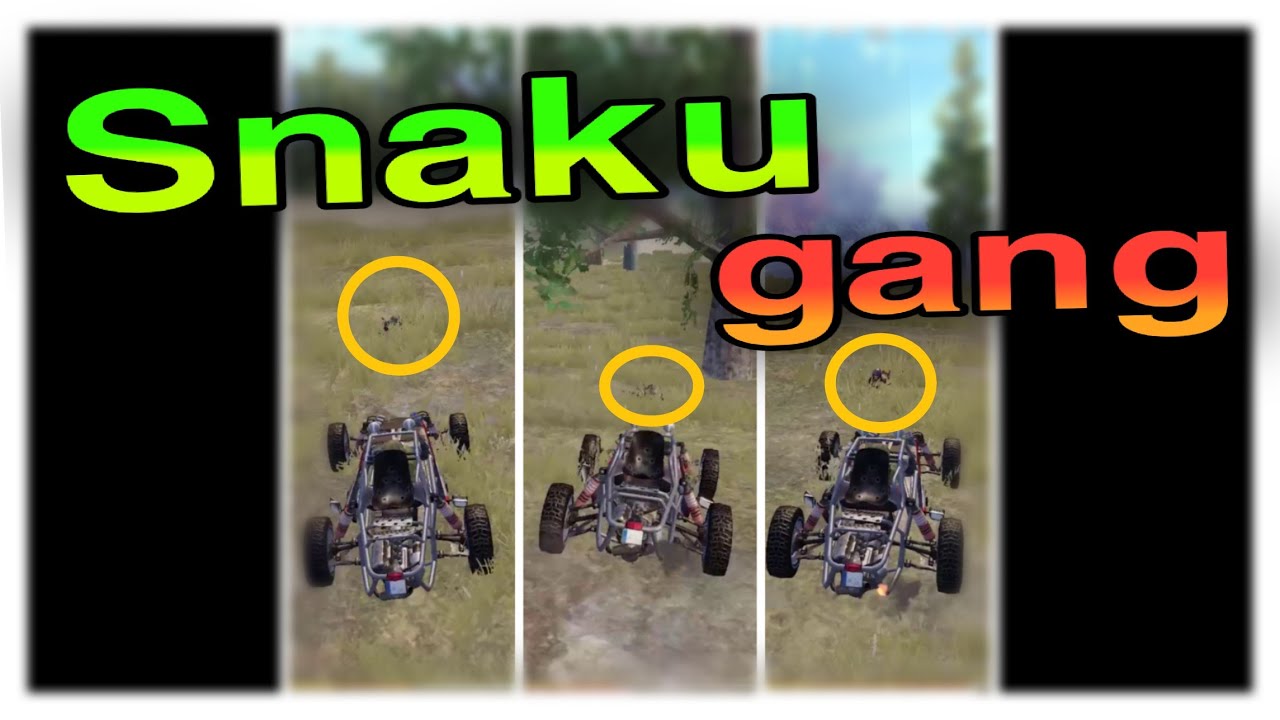 Snake Gang at Last Circle | Solo | PUBG MOBILE - YouTube