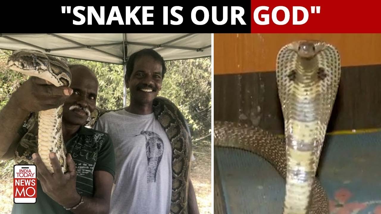 'It is our God': Snake catchers from Tamil Nadu who won Padma award ...