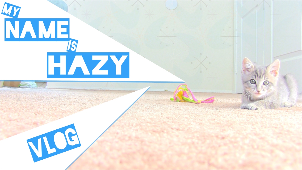 Hi! My Name Is Hazy [Vlog] - YouTube