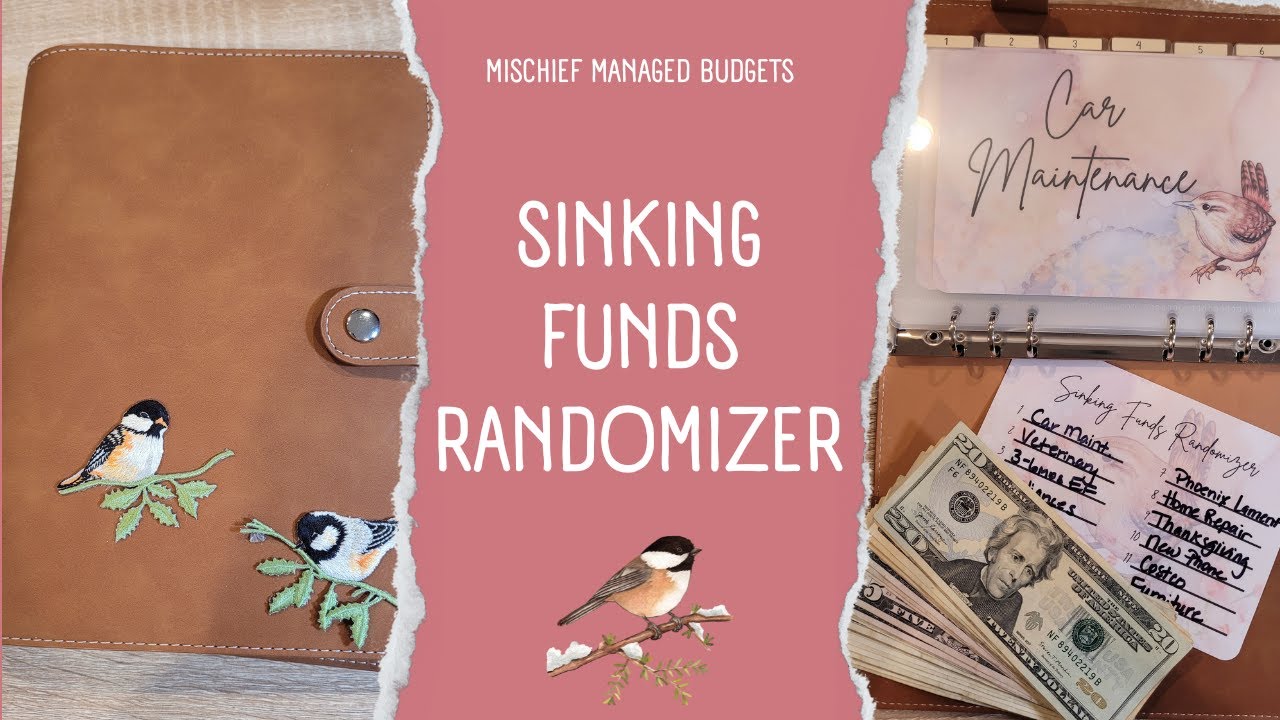March Sinking Funds Randomizer with Raven Bloopers!!! - YouTube