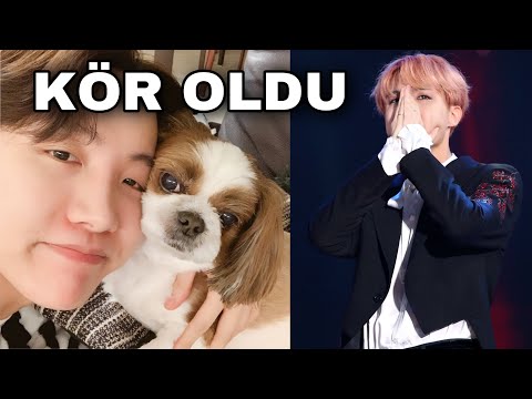 Jhope’un oğlu Mickey kör oldu. Üyeler stüdyodalar, DTS geri döndü.