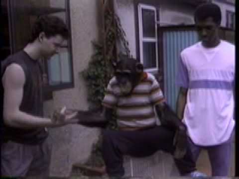 An Afternoon with Zippy the Chimp 1988 - YouTube