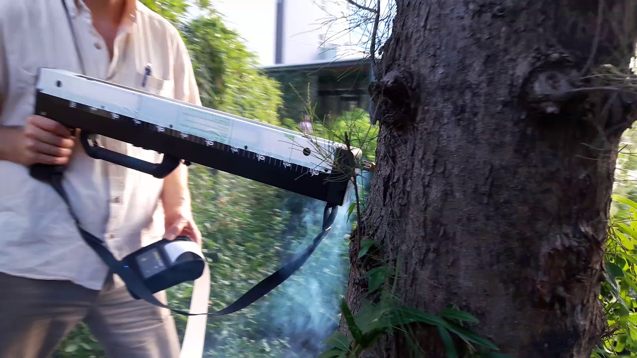 Rinntech Resistograph R650 Model Drilling High Density Tropical Tree ...