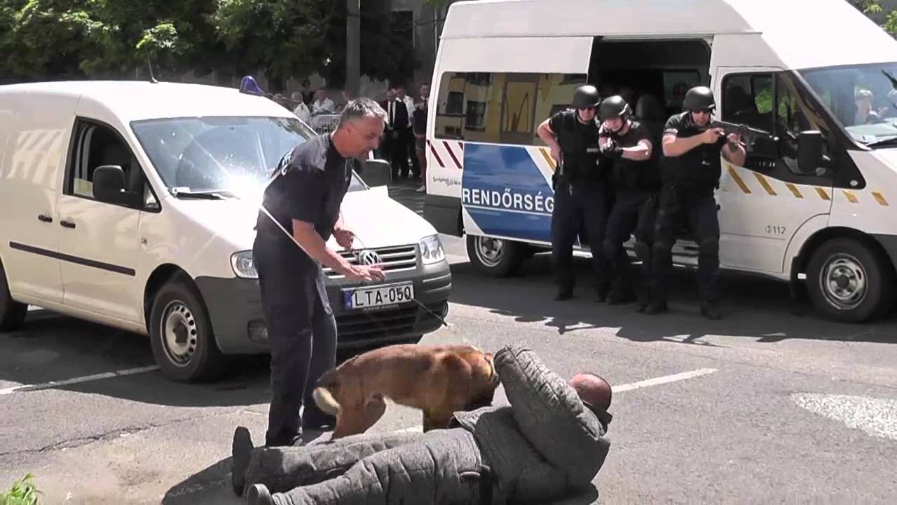 Rendészeti bemutató VII.- szon.hu - YouTube
