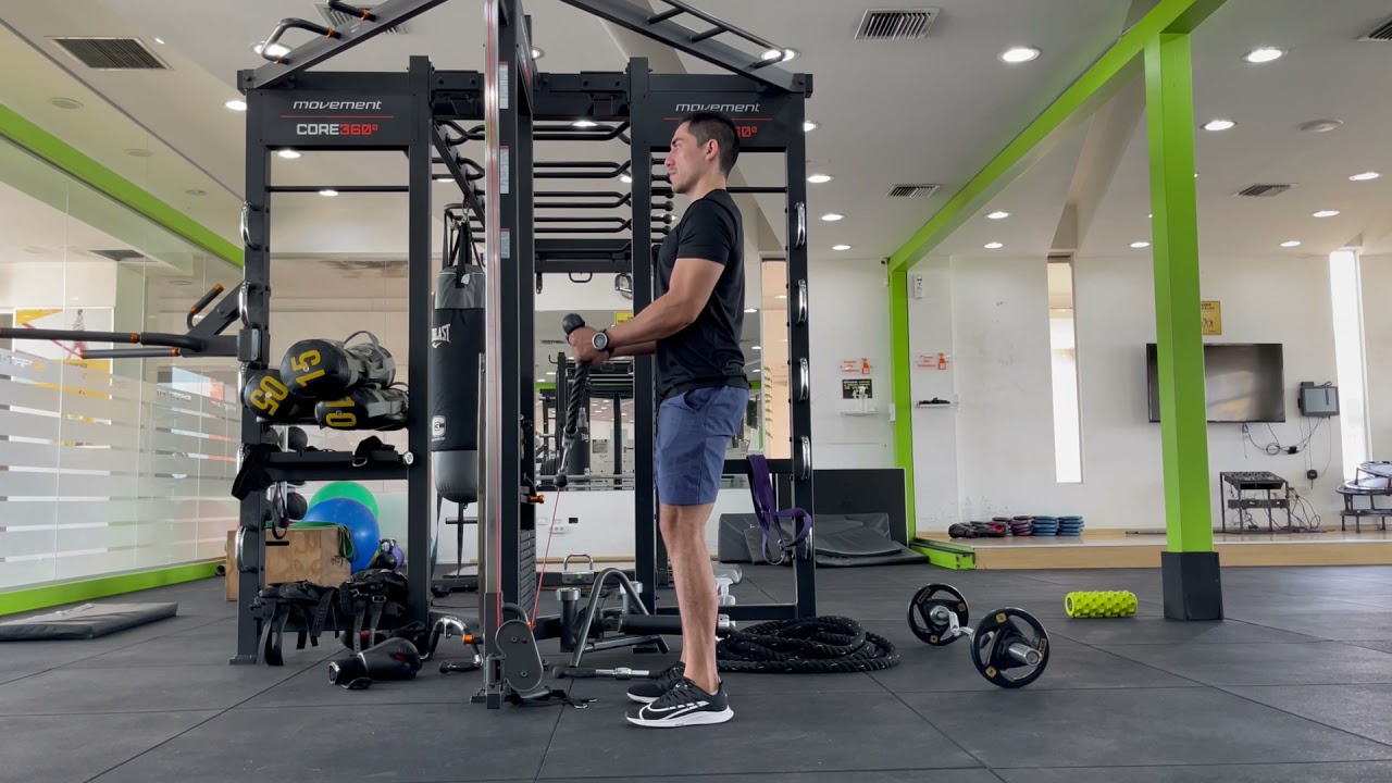 curl biceps con cuerda en polea baja (cable rope hammer curl) - YouTube