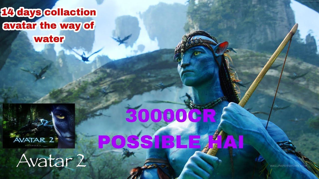Avatar 2 day 15 box office collection! avatar 2 totall gross box office ...