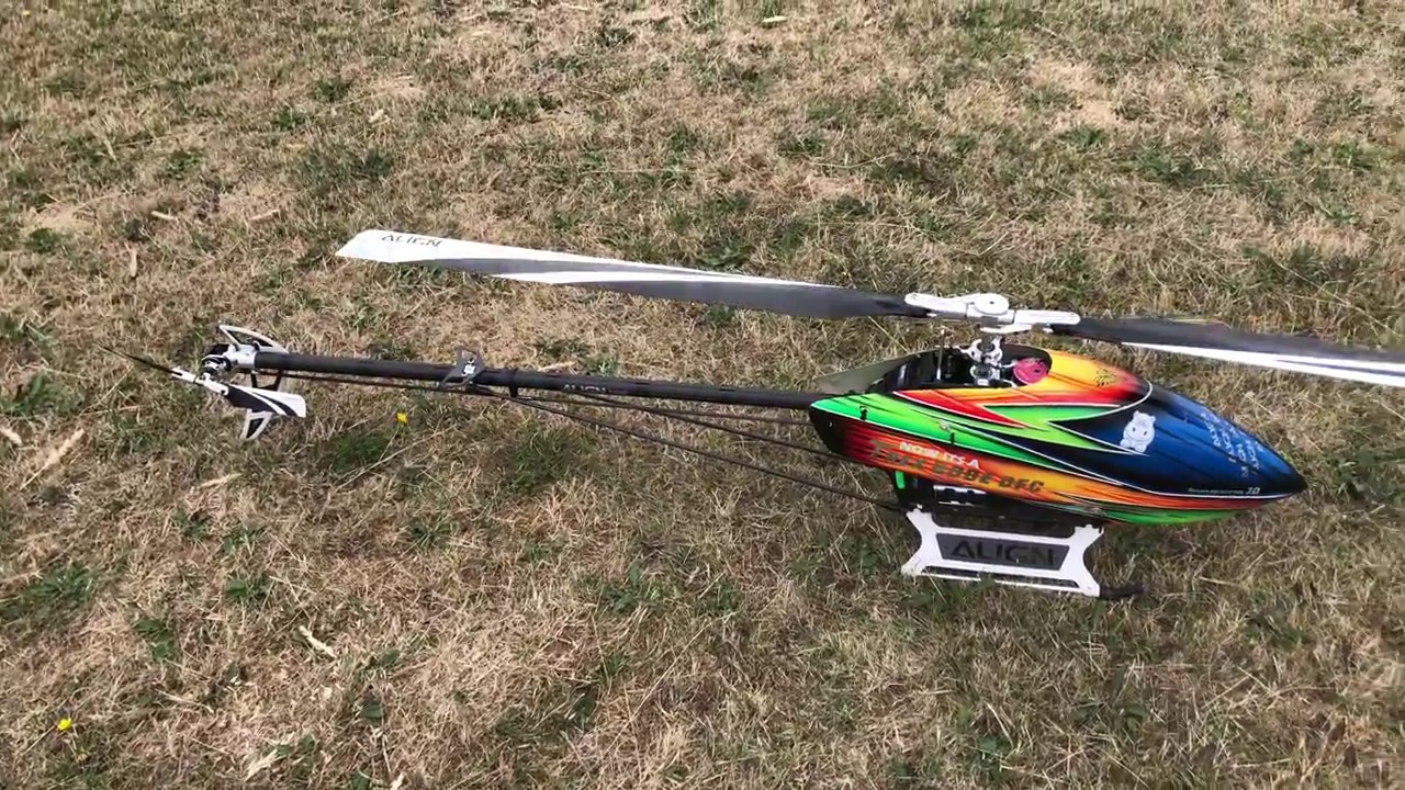 Hippo rides again - YouTube