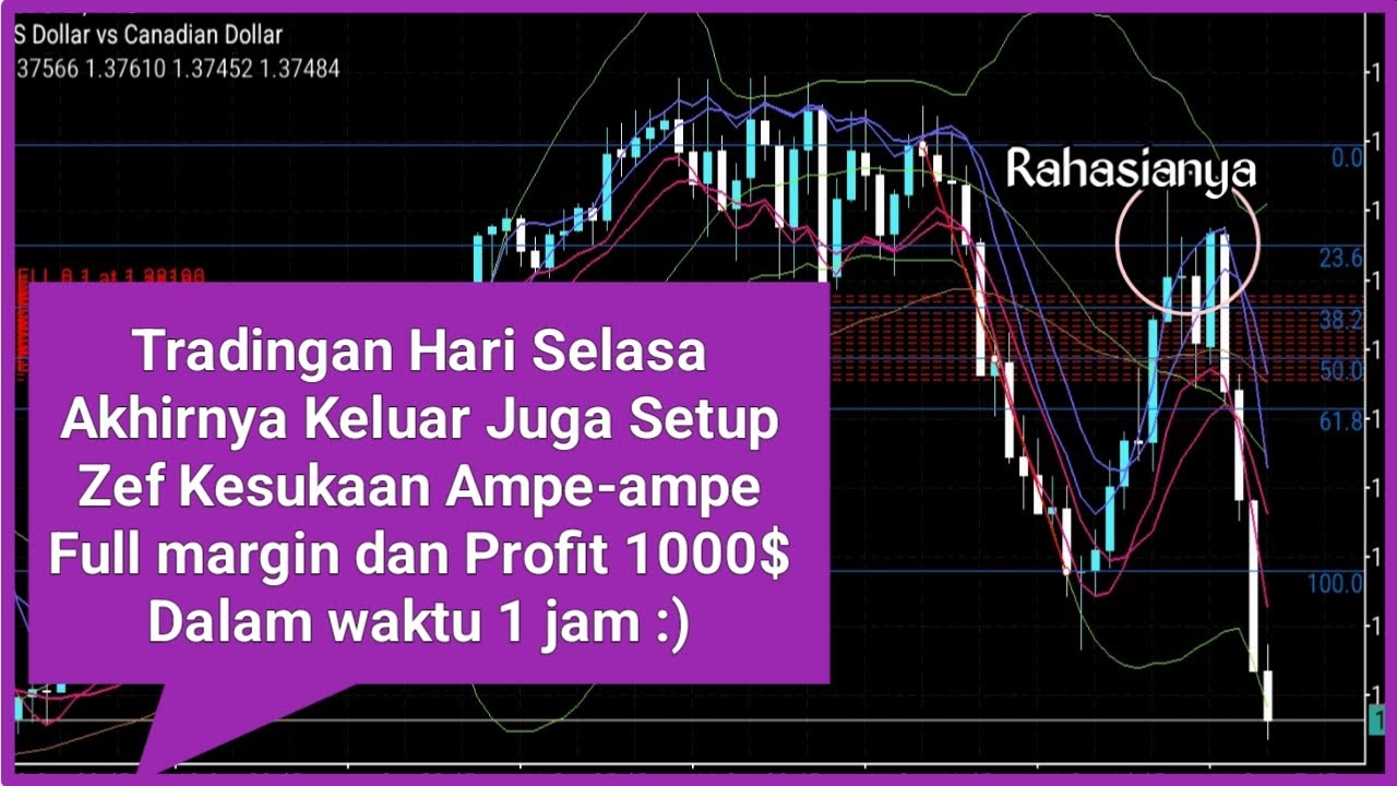 Akhirnya Keluar Juga Setup Zef Kesukaan Ampe Full margin, BANTAI !!! - YouTube