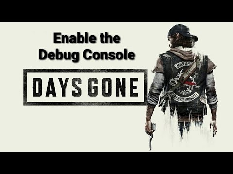 Enable the Debug Console Days Gone PC