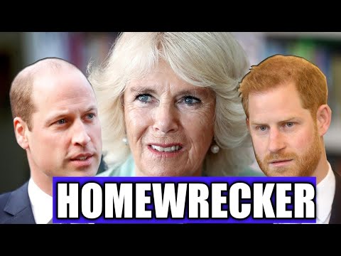 From ‘MARRIAGE WRECKER’ to Queen Consort: the rehabilitation of Camilla ...