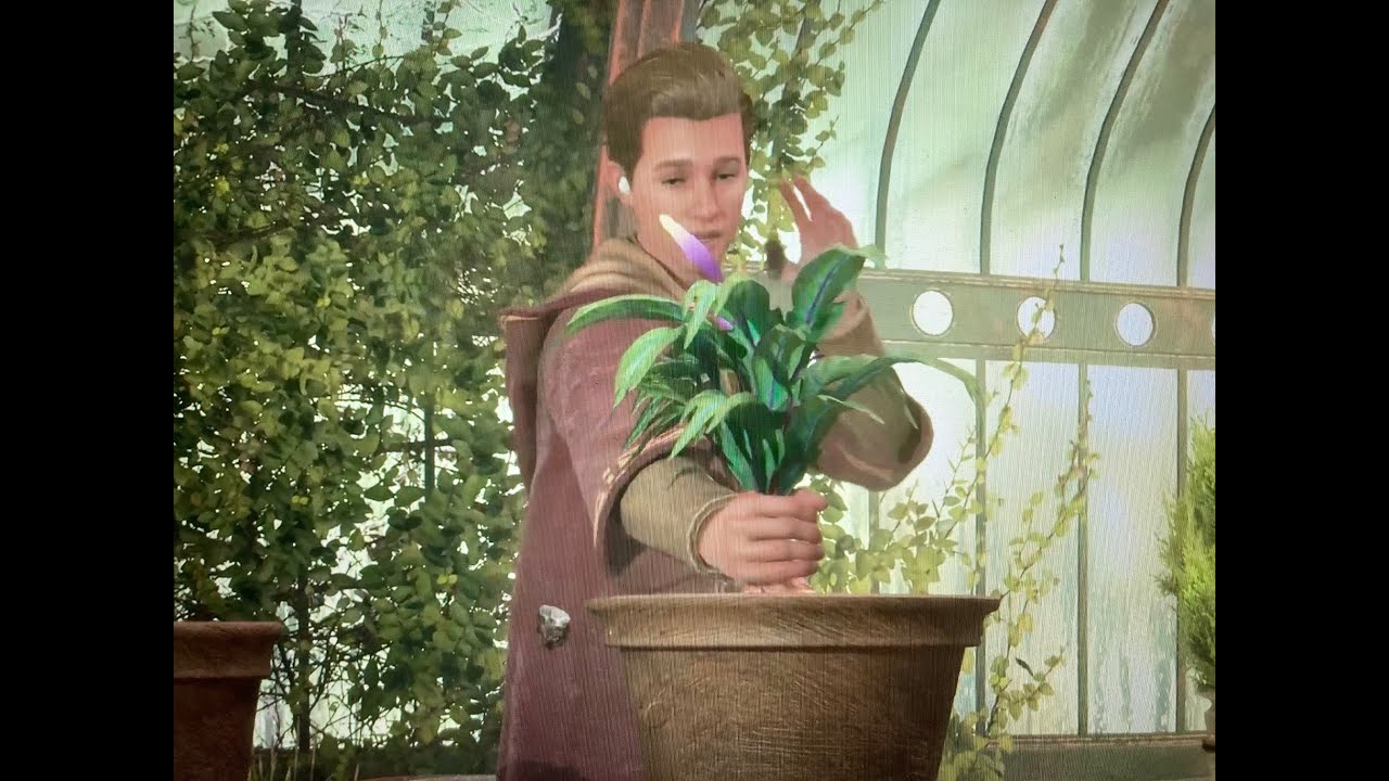 Harry Potter Legacy Herbology class Mandrake cries - YouTube