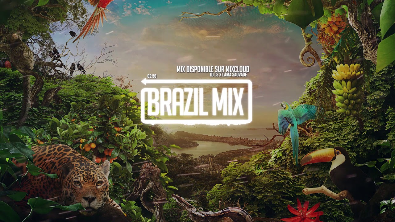 Brazilian Funk Mix By DJ LS - YouTube