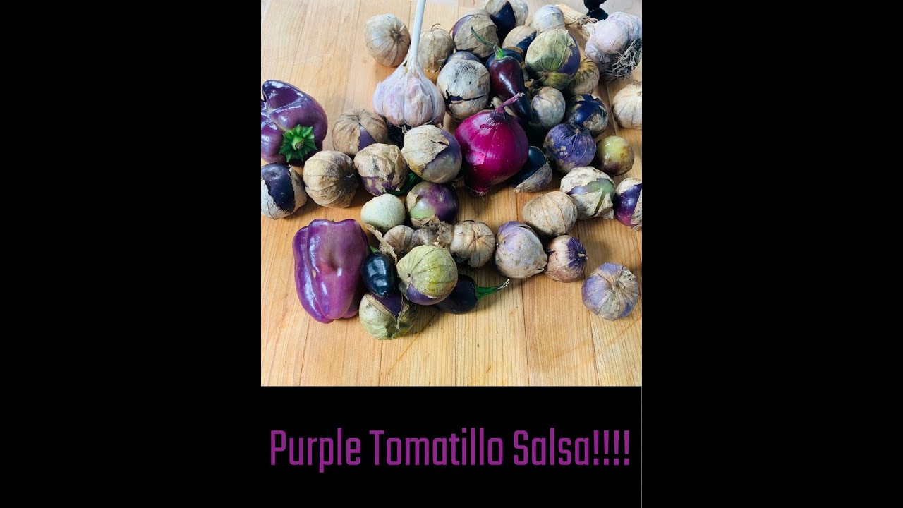 How to Cook Purple Tomatillo Salsa with Secret Ingredients! - YouTube