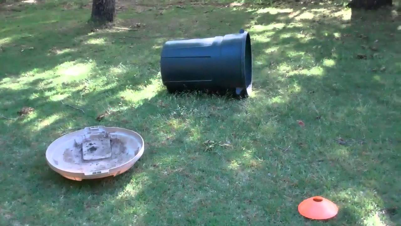 How to catch a salamander - YouTube