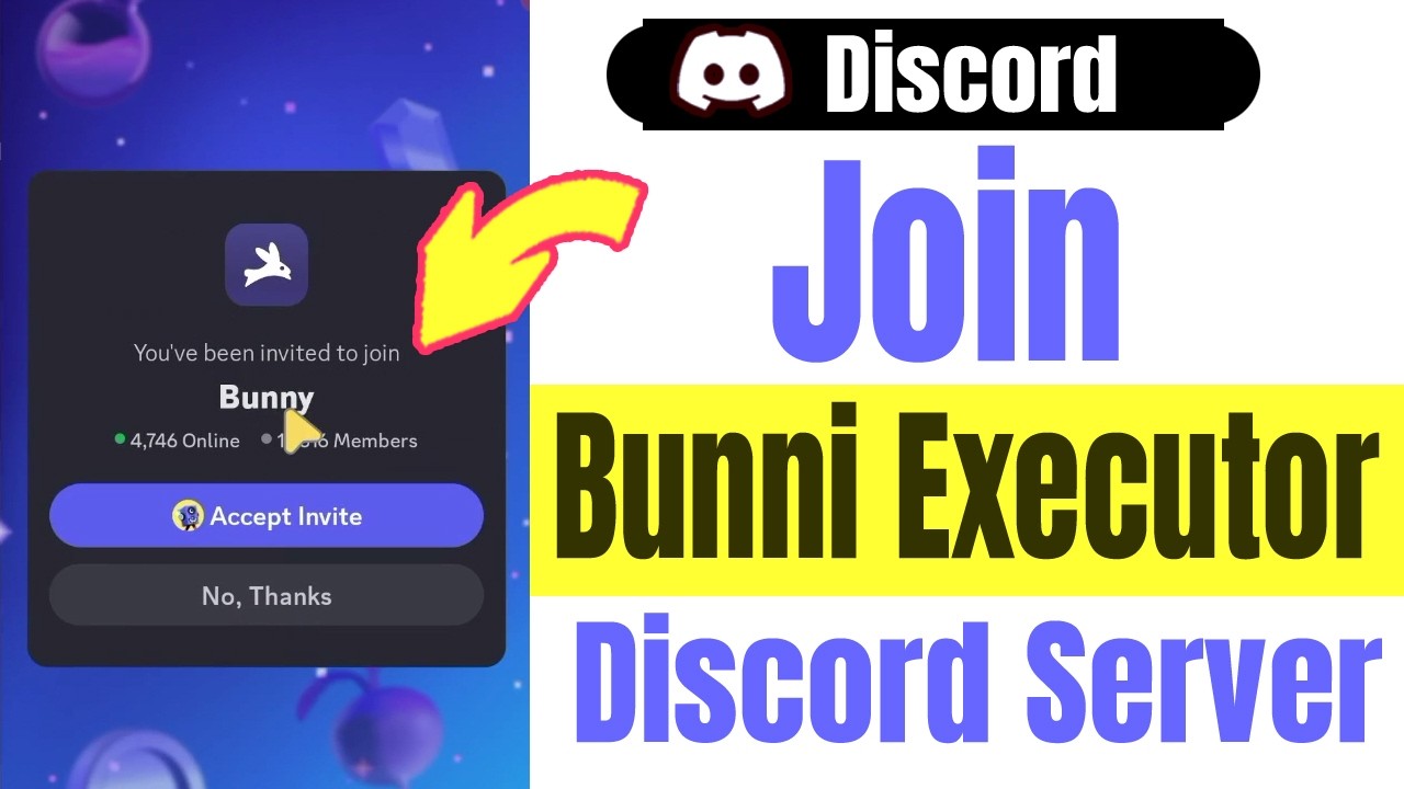 How to Join Bunni Executor Discord Server on Mobile - YouTube