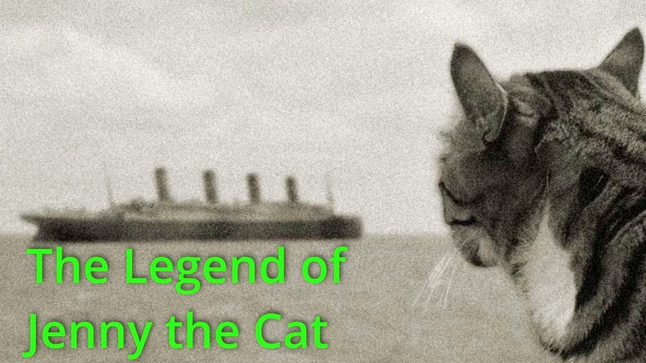 The Legend of Jenny, the Titanic cat - YouTube