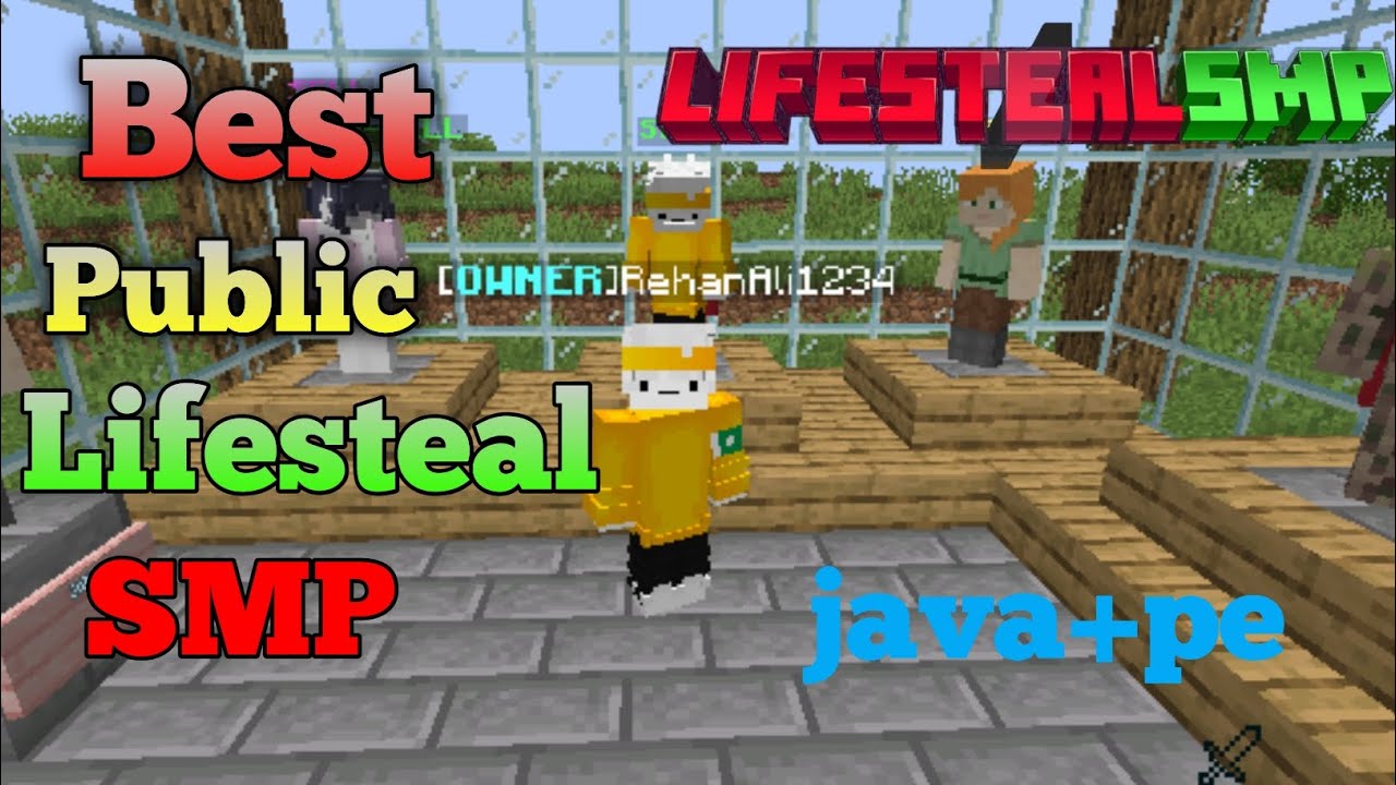 Best public lifesteal smp | java+pe 24/7 - YouTube