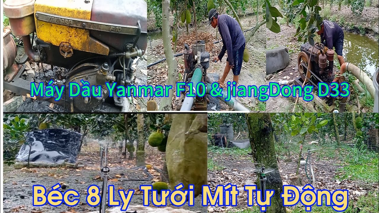 Máy Dầu Yanmar F10 & Jiang Dong D33 Béc 8 Ly Tưới Mít Tự Động - YouTube