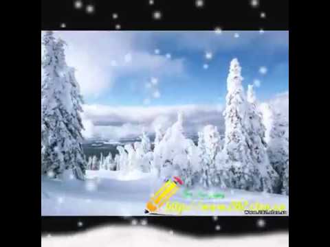 cinqilbes