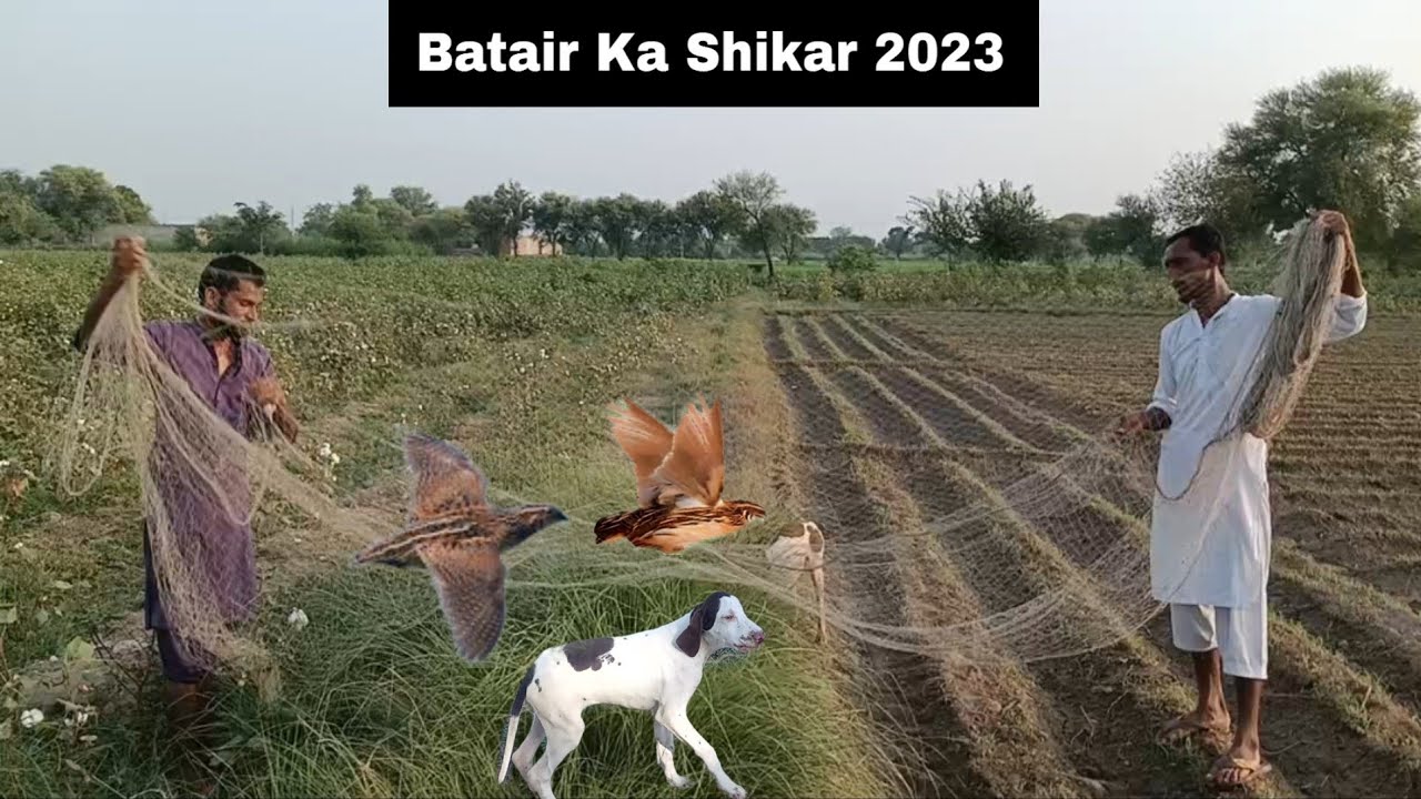 AJ to Shikar Ka Maza AA GIA😍 Bahot he zabardast Shikar 😍 - YouTube