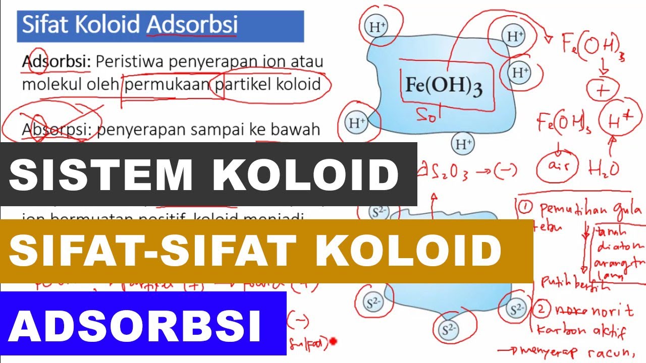 Sifat Sifat Koloid Adsorbsi pada Sistem Koloid - Sistem Koloid Kimia ...