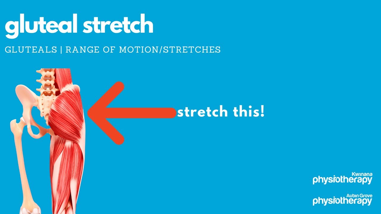 Gluteal Stretch - YouTube