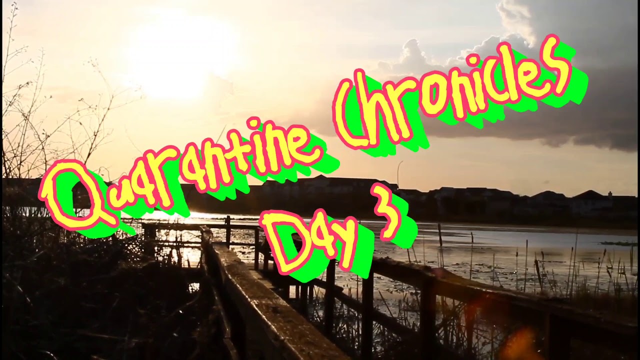 Quarantine Chronicles : Day 3 - YouTube