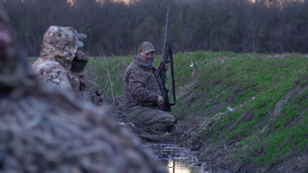 Swan Hunting in North Carolina - YouTube