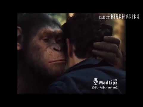 MadLipz  new video --*Arki language dubbing by---suraj chauhan ## new funny video from MadLipz