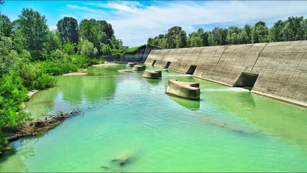 Immergendoci nella natura - Riserva Orientata del Fiume Secchia ...