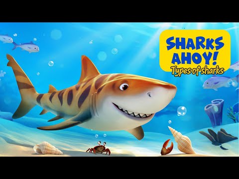 Sharks Ahoy | Types of Sharks | Counting Sharks 1-10 | Learning Sharks