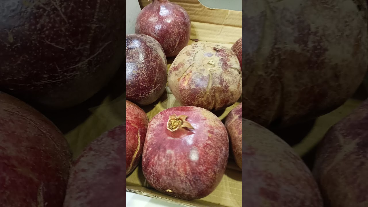 Roman fruit's fresh - YouTube