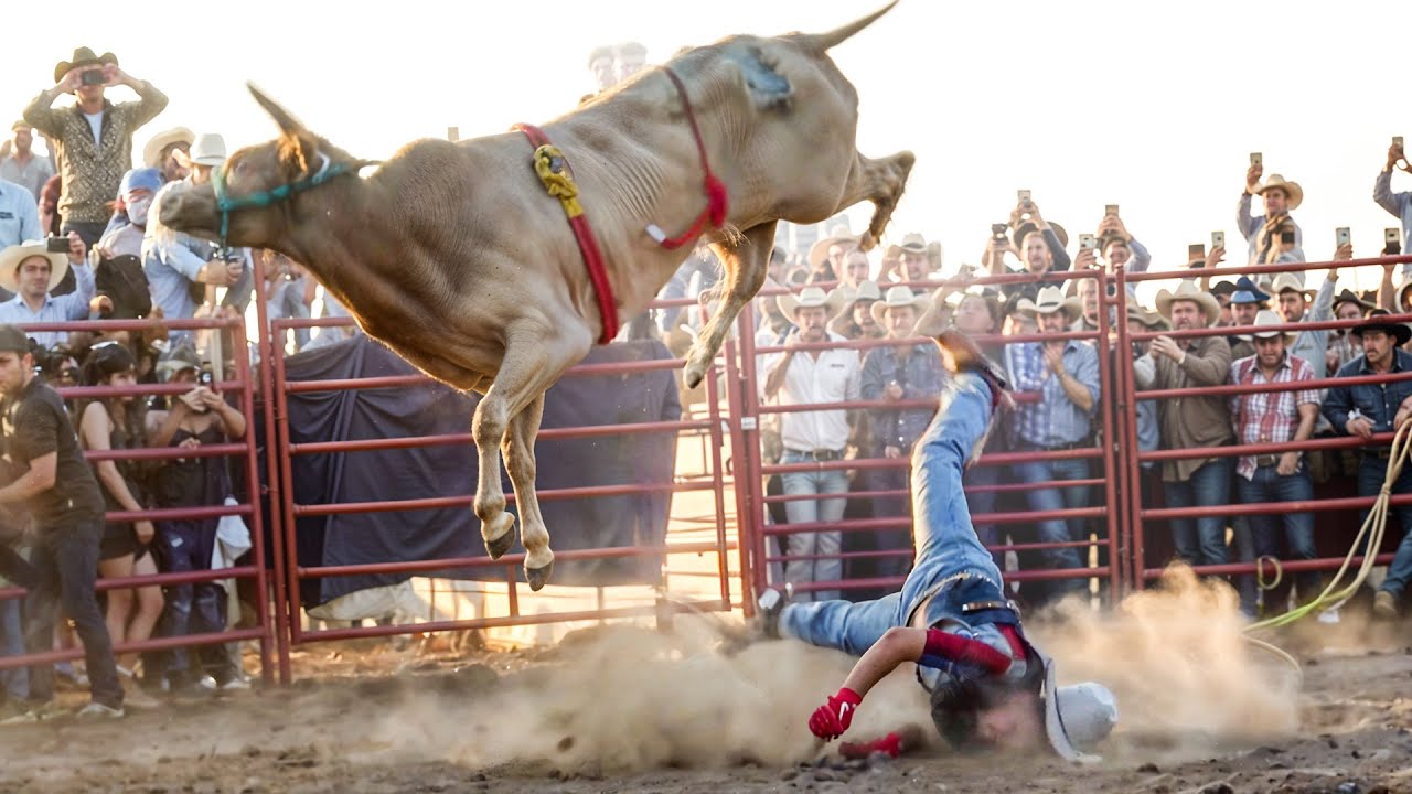 G63 EL TORO INVENCIBLE DEL JARIPEO || Rancho el Aguaje en Kansas Misuri ...