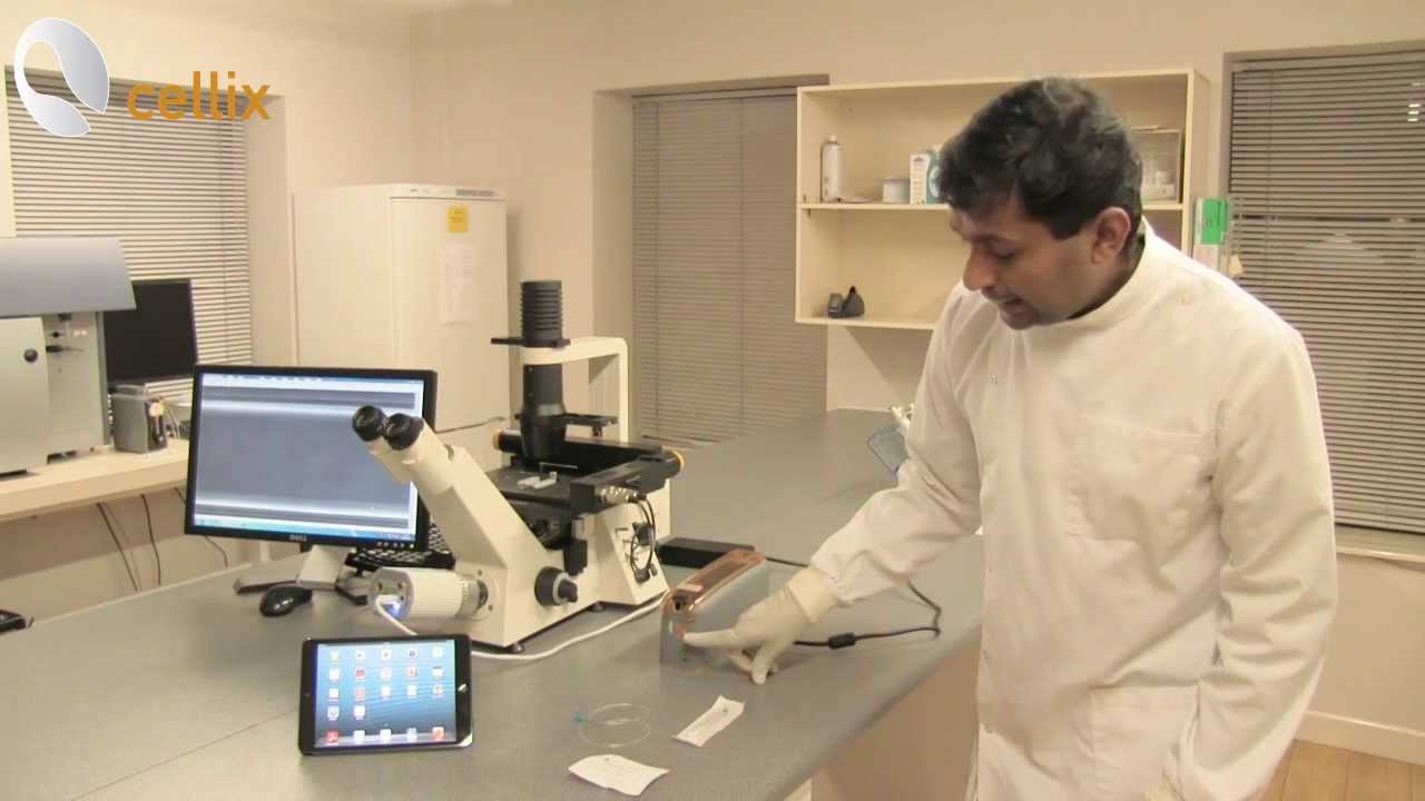 Cell Rolling and Adhesion Assays with ExiGo Pump - YouTube