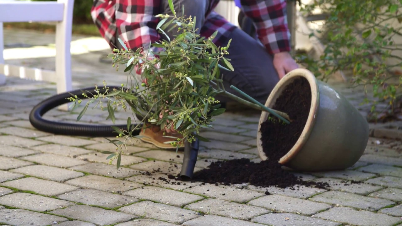 Rough cleaning with Multi II - YouTube