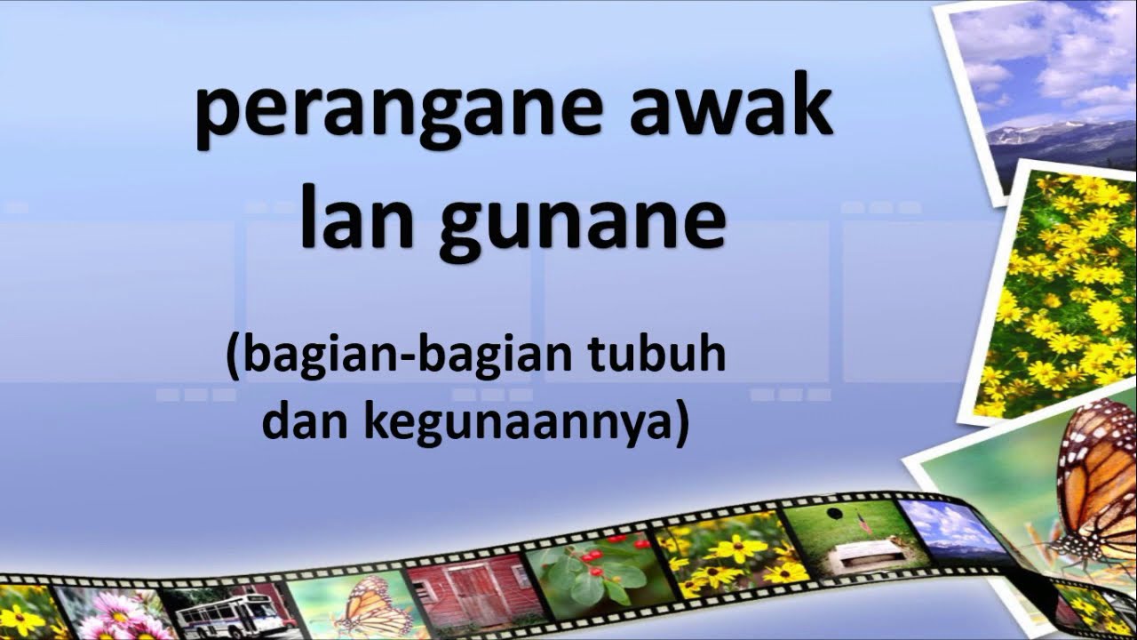BAHASA DAERAH KELAS 1 SD : GUNANE PERANGANE AWAK - YouTube
