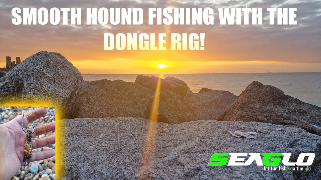 Sea fishing uk - Smooth hound fishing with a dingle dangle rig (have ...