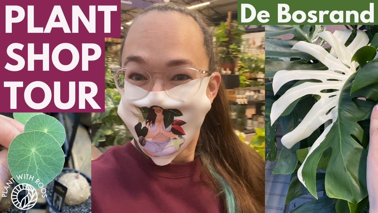 PLANT SHOP TOUR! Bosrand Oegstgeest Houseplants of 2021 | Plant with ...