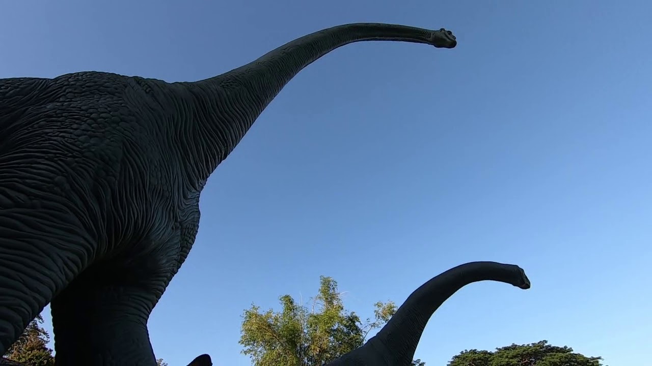 Baluarte Zoo - Zoological Park in Vigan, Ilocos Sur Philippines - YouTube