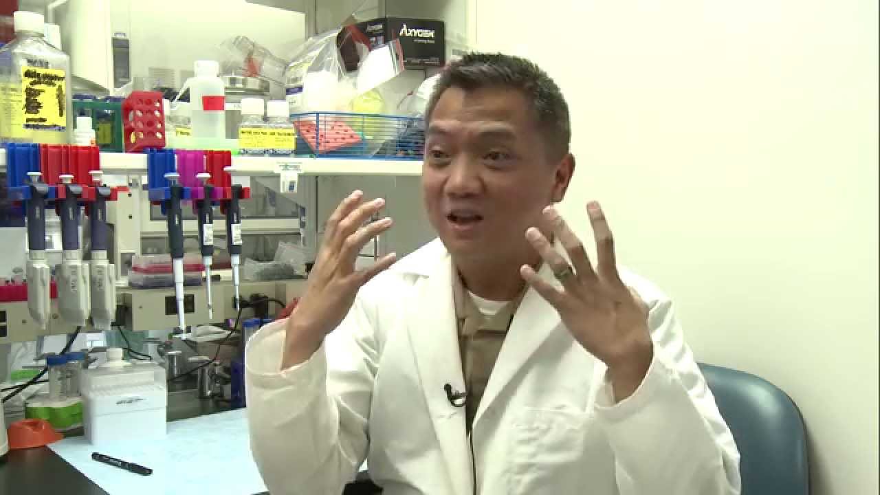 Is Medical Research for You? - YouTube