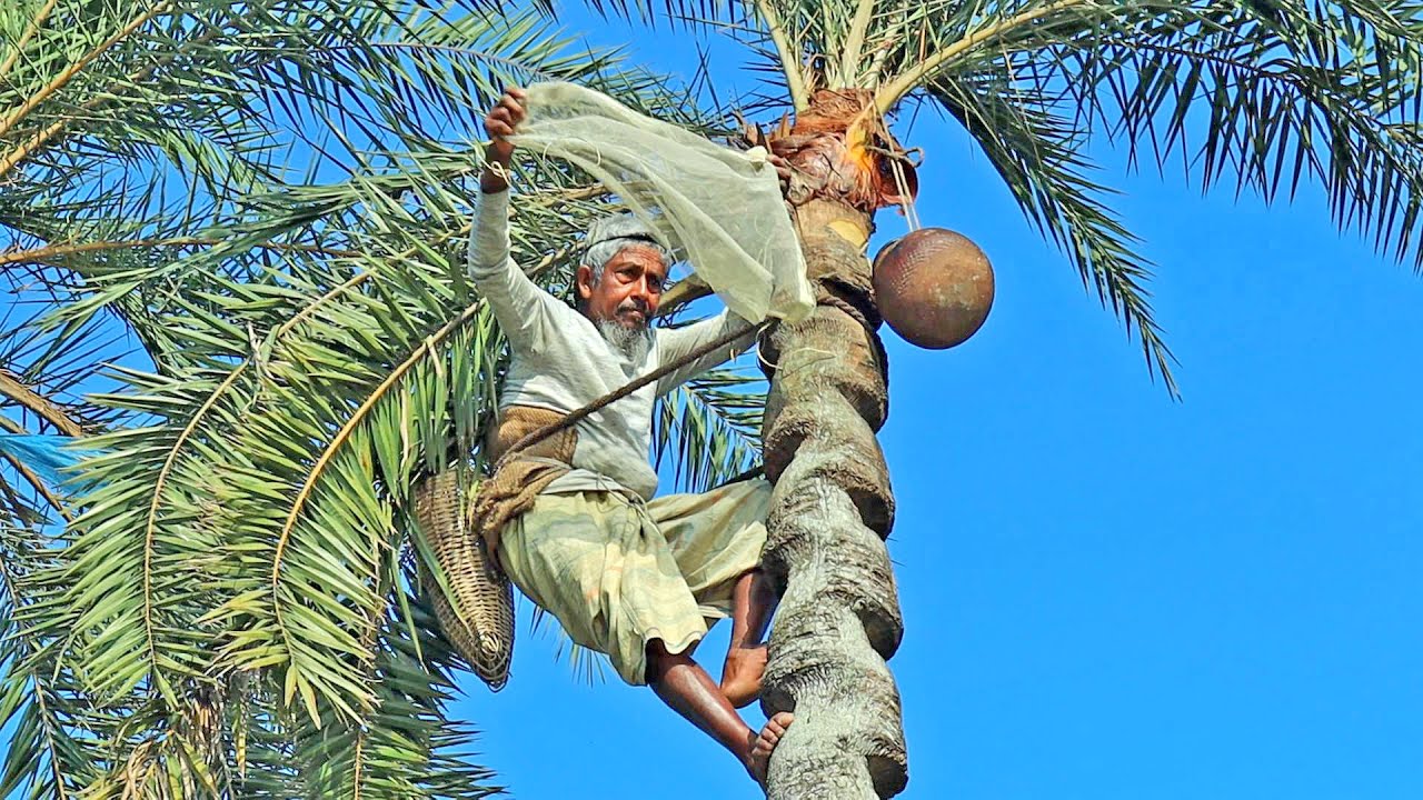 How to Make Traditional Date Molasses in South Asia? - YouTube