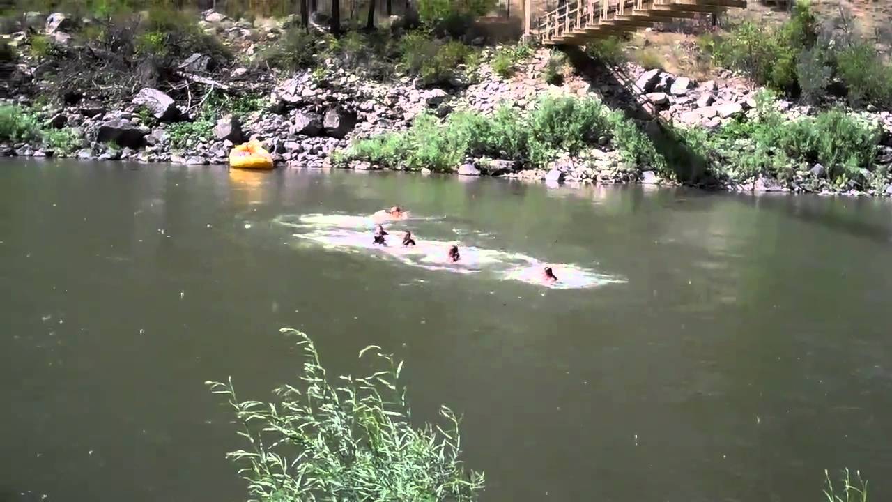 Jumping from Mackay Bar Bridge - YouTube