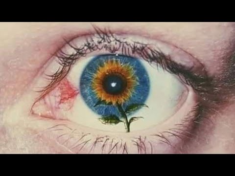 Sunflower flower in the eye sketch. 🌼Draw - YouTube