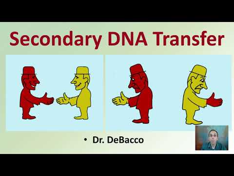 Secondary DNA Transfer - YouTube
