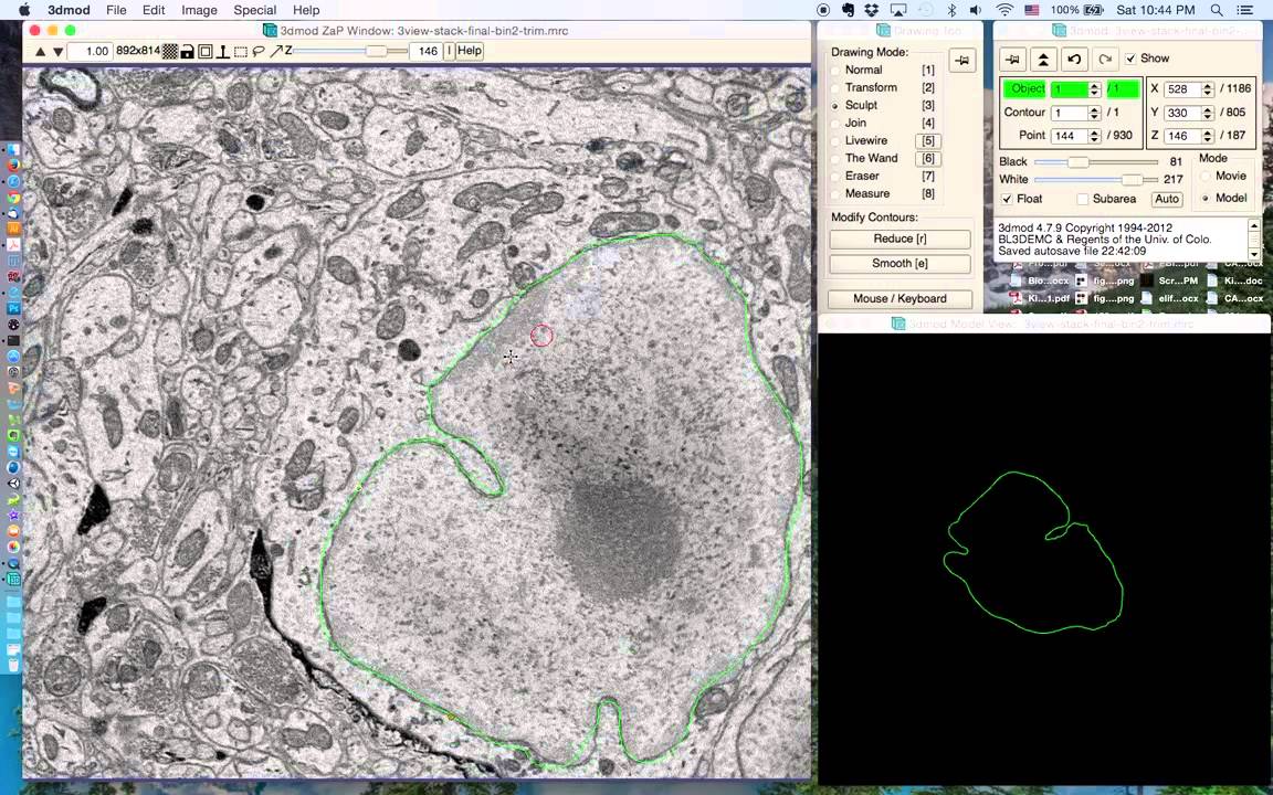 IMOD training - basics tutorial - YouTube
