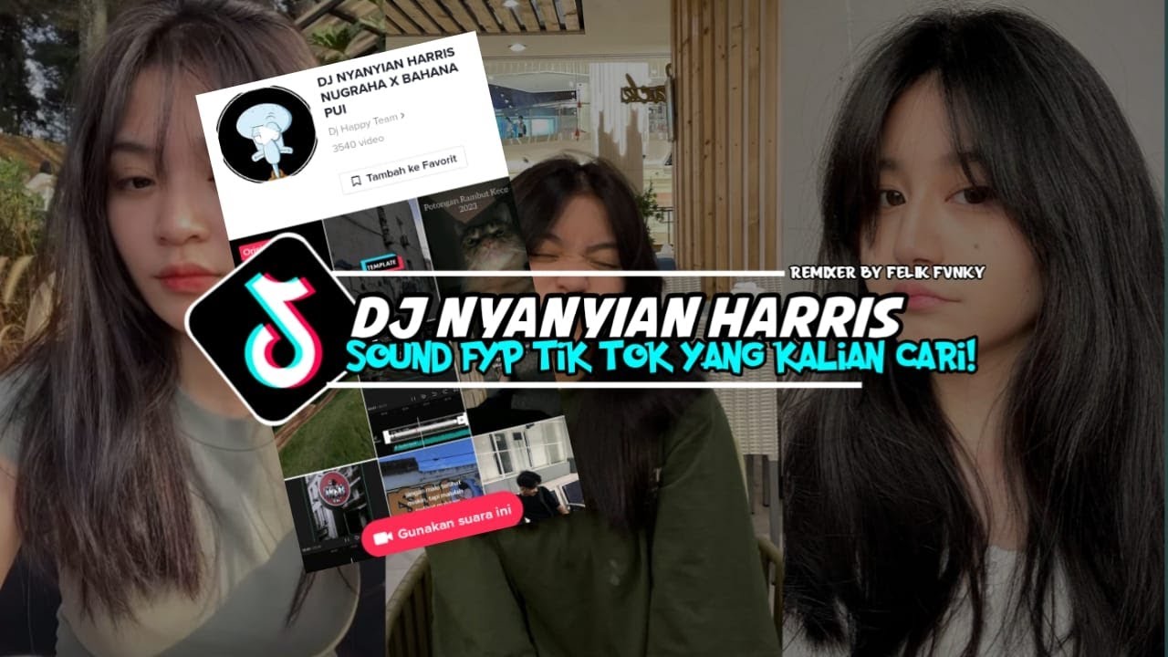 DJ NYANYIAN HARIS VIRAL TIK TOK - YouTube