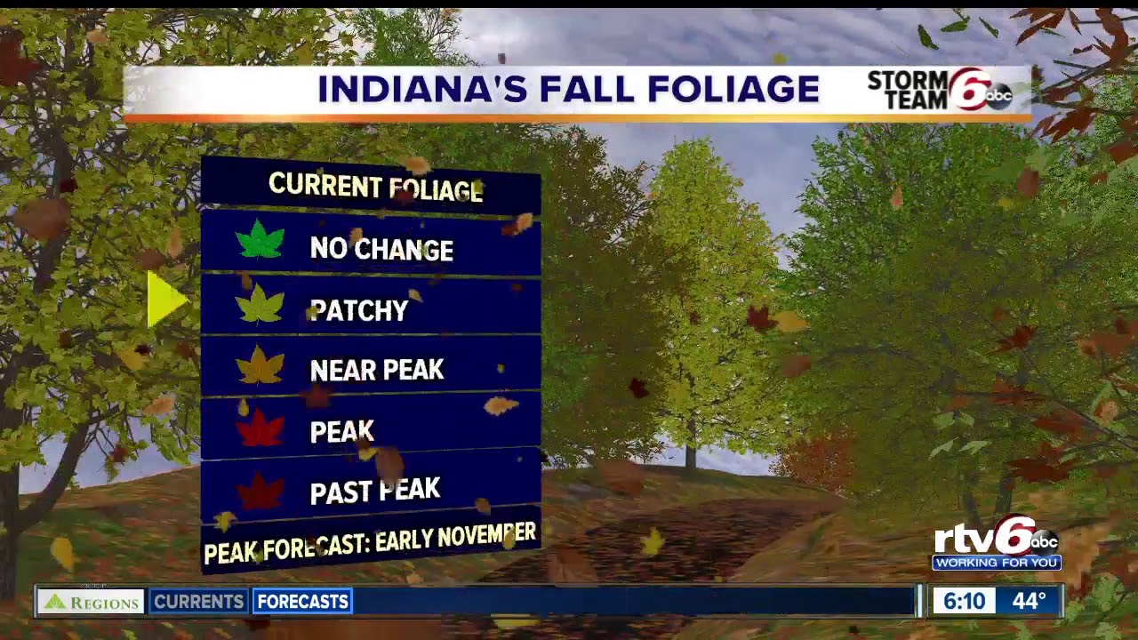 Indiana's Fall Foliage Forecast - YouTube