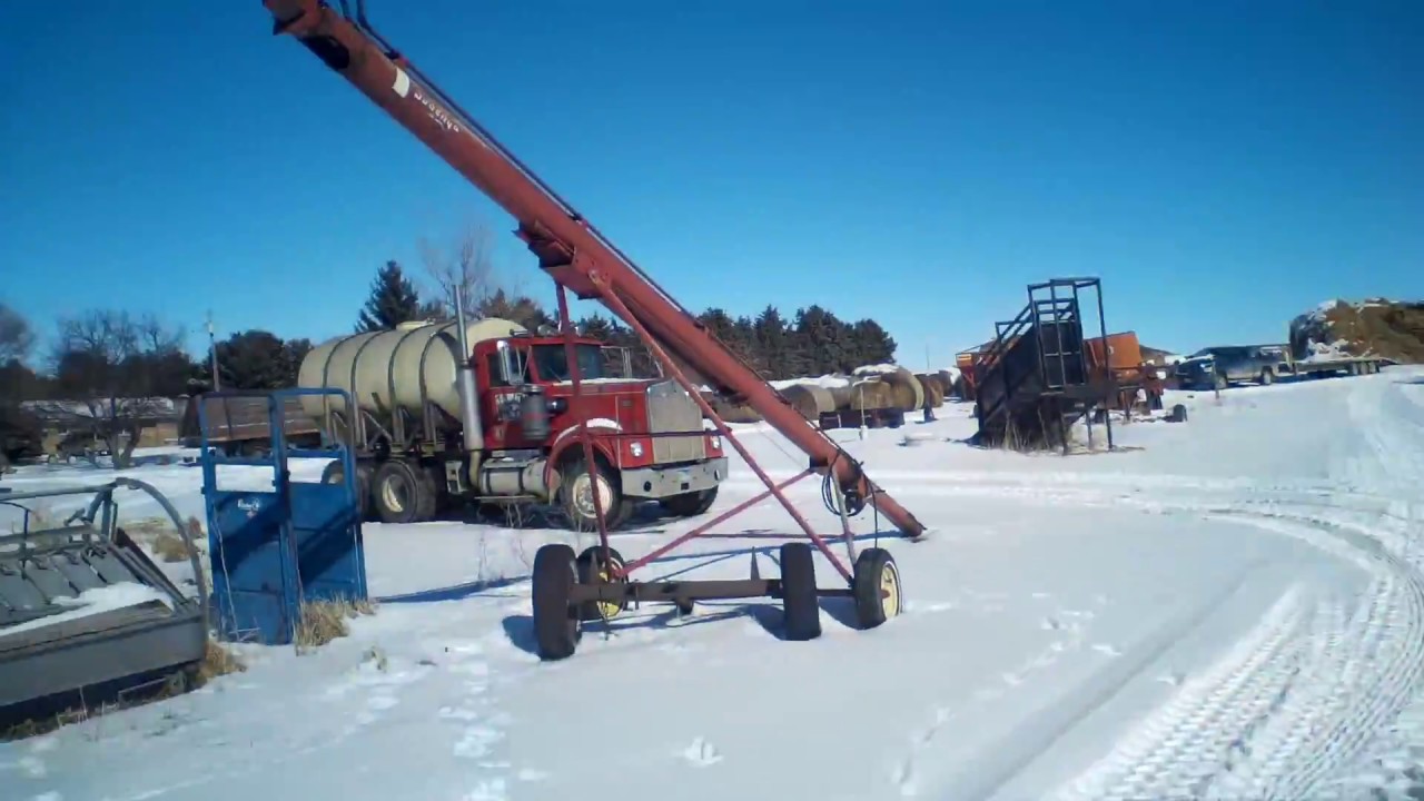Grinding corn for the fat cattle - YouTube